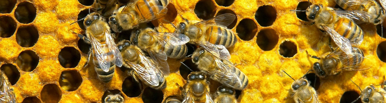 Centres de consultation :: SIPE :: Valais