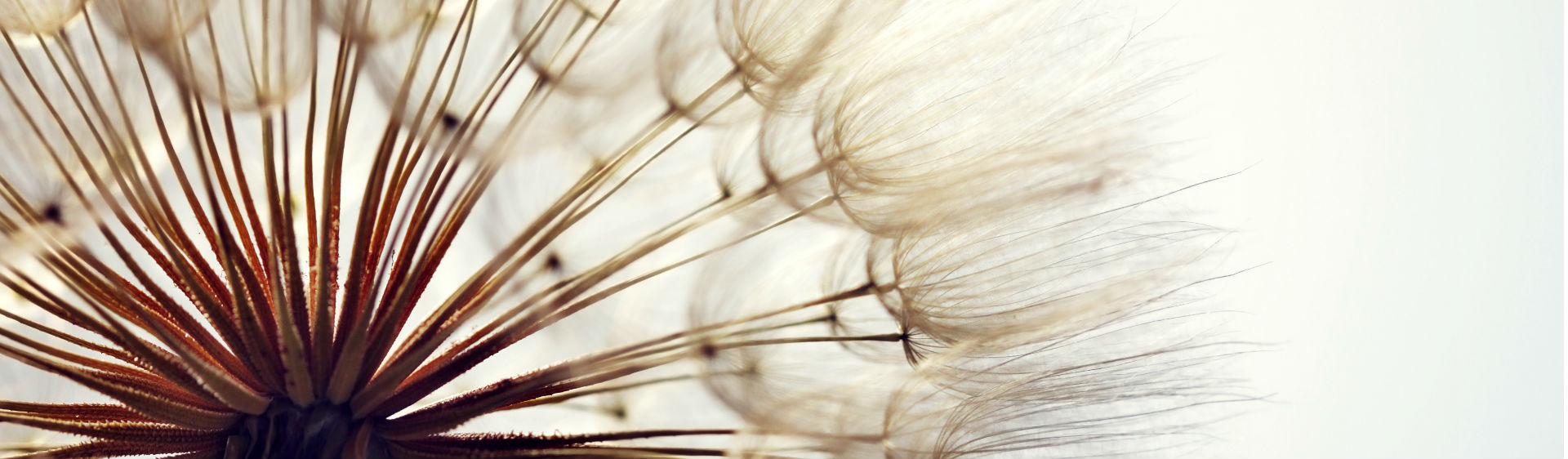 Information: Consultation en santé sexuelle de Sierre :: SIPE :: Valais