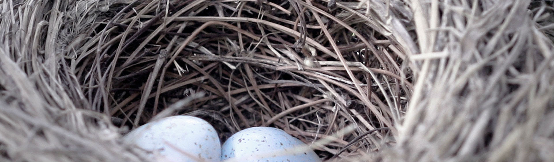 Information: Consultation en santé sexuelle de Sierre :: SIPE :: Valais